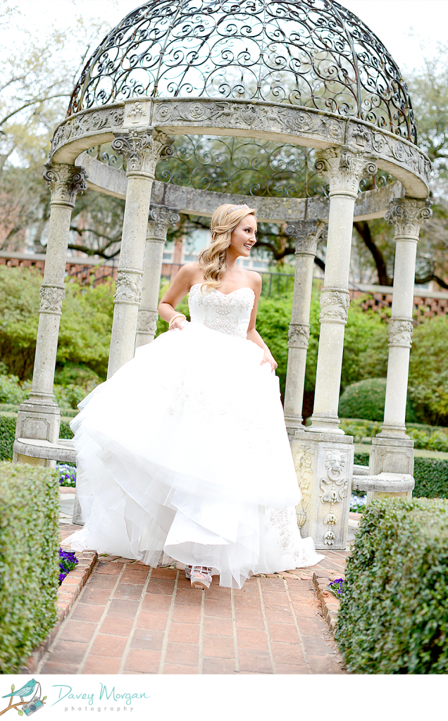 Blog, highlights, behind the scenes, promotions